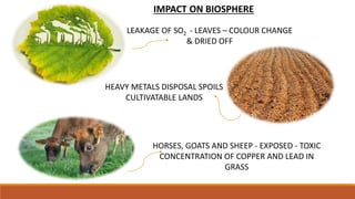Sterlite pollution and impacts | PPTX
