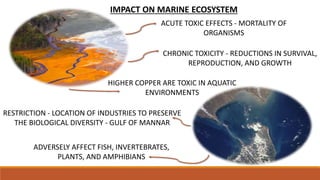 Sterlite pollution and impacts | PPTX