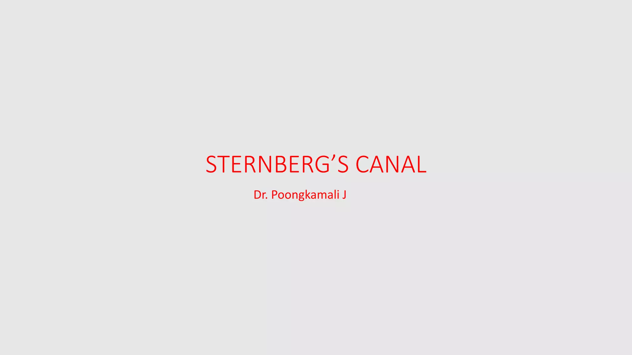Sternbergs | PPTX