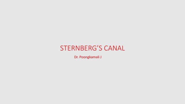 Sternbergs | PPTX