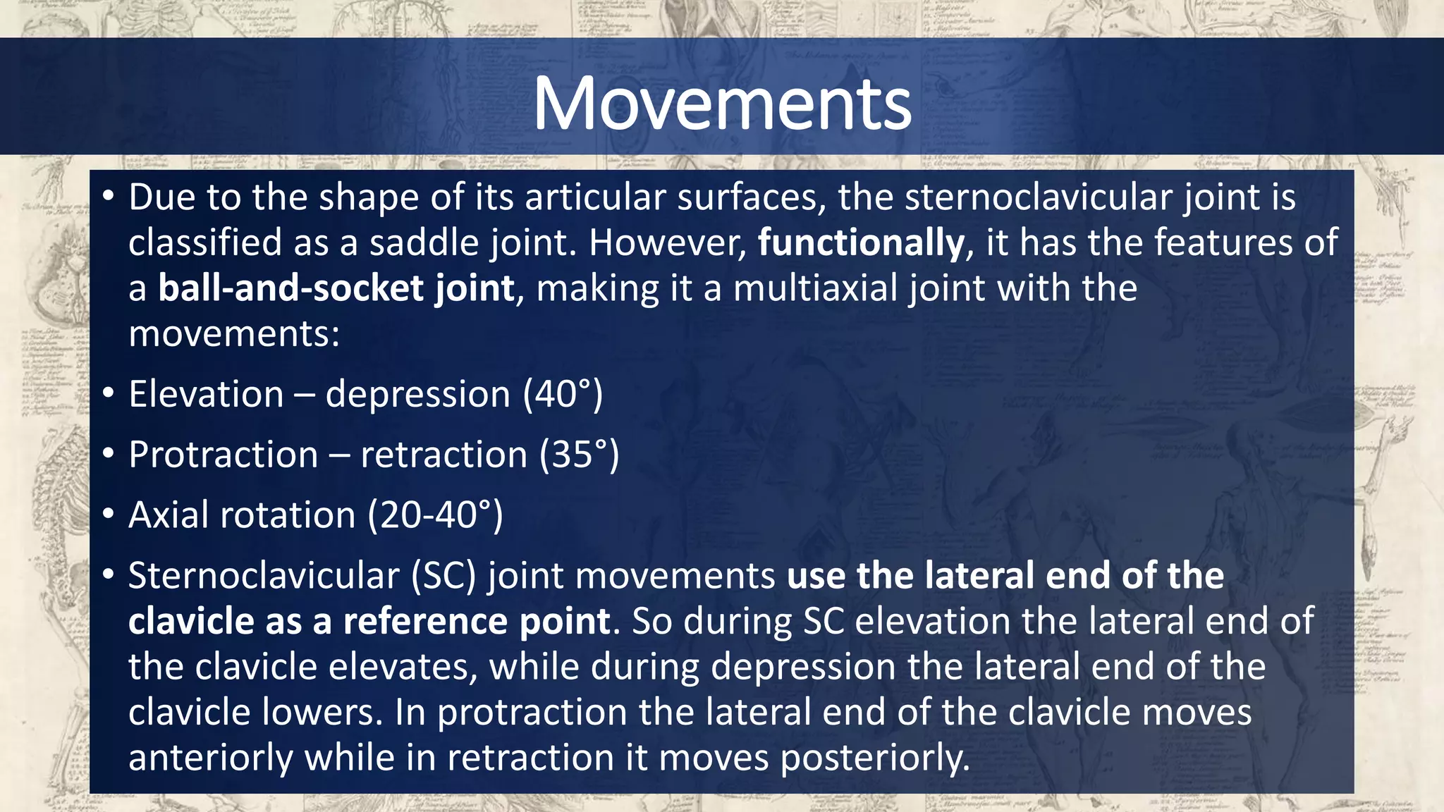 sterno acromioclavicular.pptx