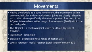 sterno acromioclavicular.pptx
