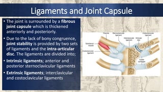 sterno acromioclavicular.pptx