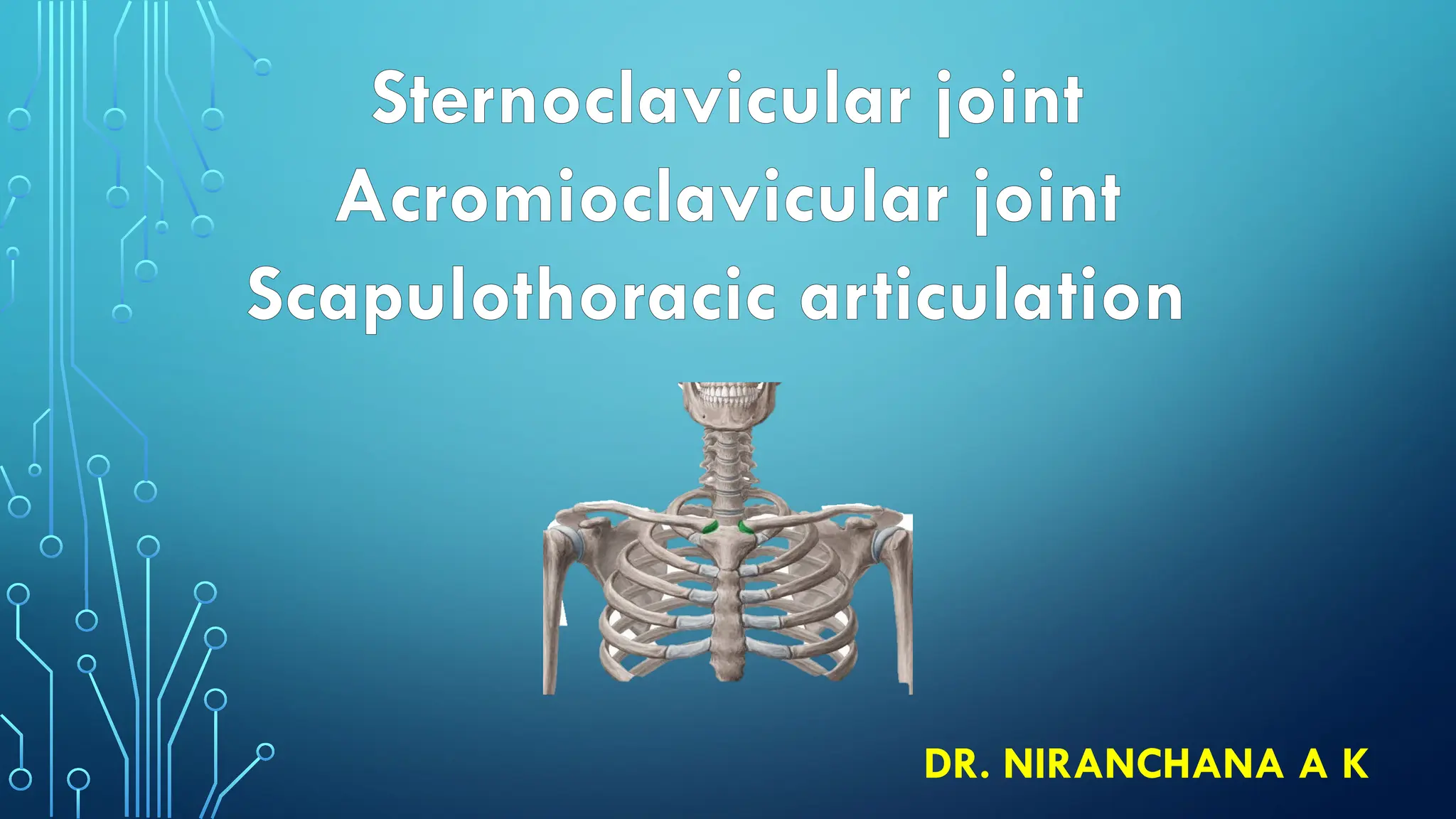 sterno & acromio clavicular joint-1_040119.pptx
