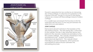 STERNOCLAVICULAR JOINT STERNOCLAVICULAR JOINT | PPTX