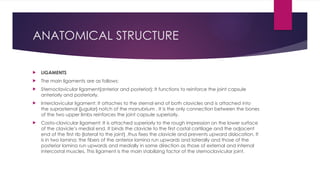 STERNOCLAVICULAR JOINT STERNOCLAVICULAR JOINT | PPTX