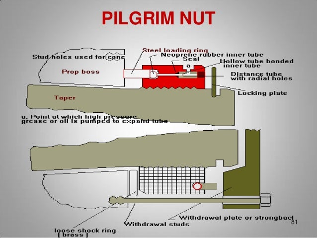 Stern Tube and Shafting Arrangements