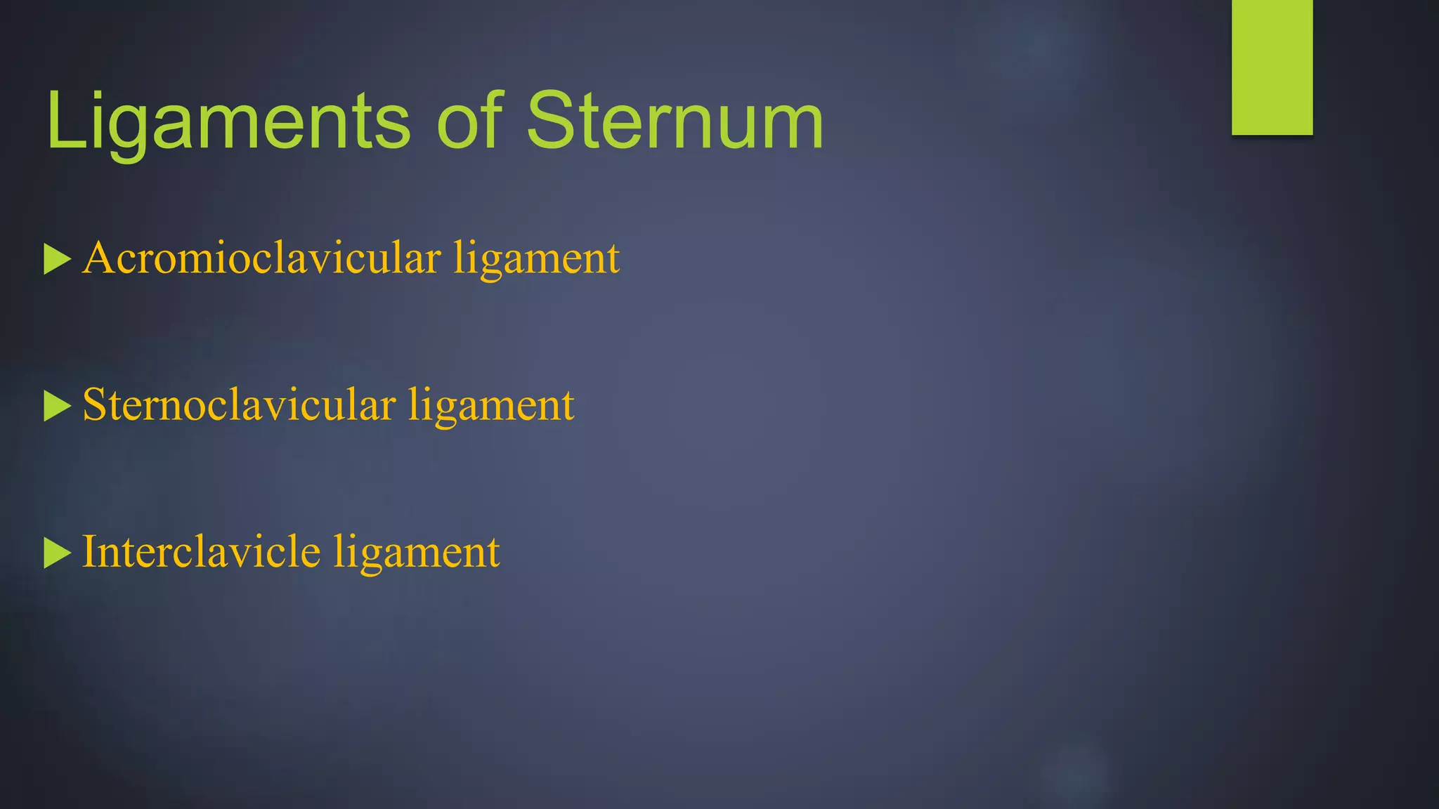Sternum | PPTX