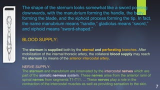 Sternum | PPTX