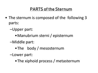 Sternum.pptx