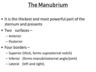 Sternum.pptx