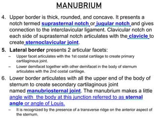 Sternum.pptx