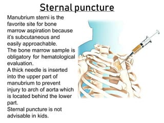 Sternum.pptx