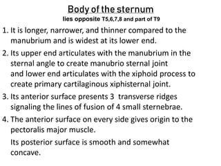 Sternum.pptx