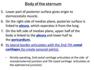 Sternum.pptx