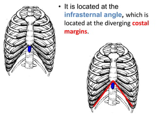 Infrasternal Angle
