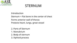 Sternum by Vadamodula Bhanu.....ppt.pptx