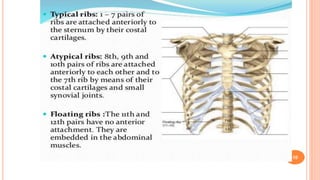 Sternum and breast bone | PPTX