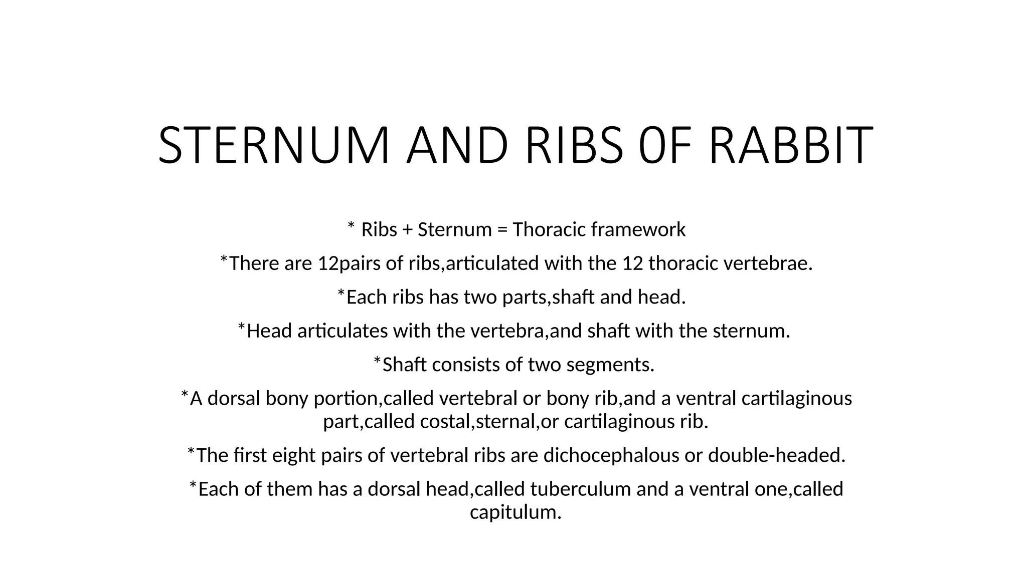 STERNUM AND RIBS 0F Oryctolagus 11 .pptx