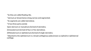 STERNUM AND RIBS 0F Oryctolagus 11 .pptx