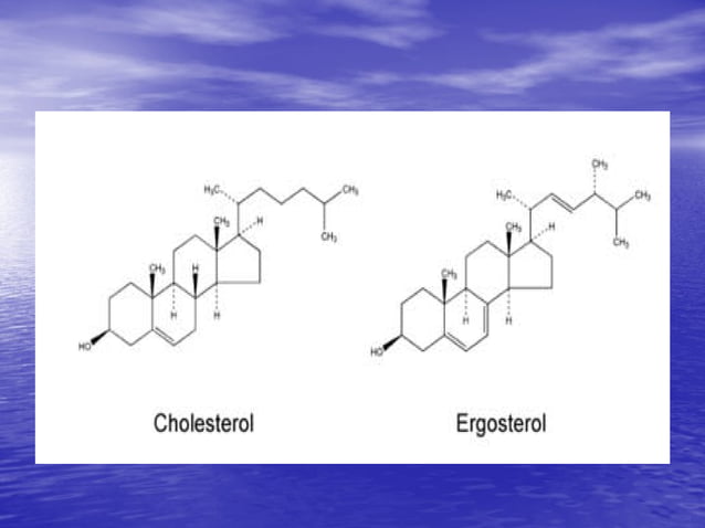 STEROID.pdf
