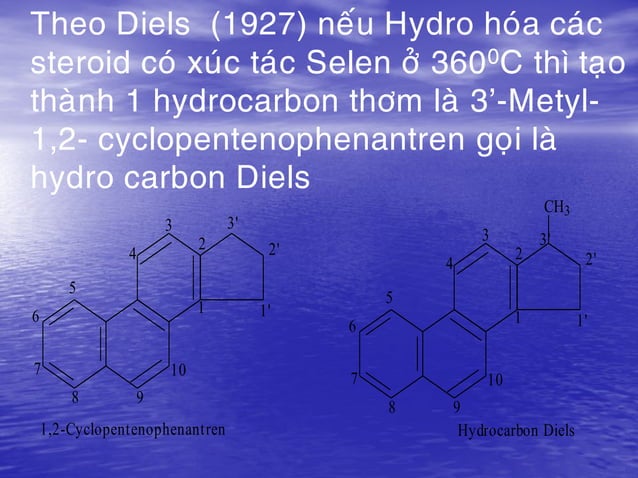 Steroid Pdf