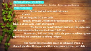 steroidal alkaloids and veratrum notes.pptx