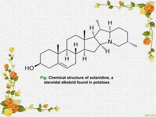 Steroid alkaloids | PPT