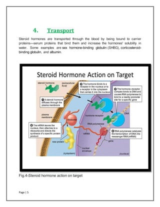 Steroid hormone | DOCX