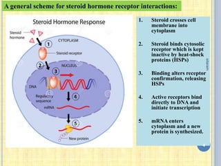 Steroid Hormones | PPTX