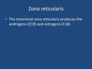 Steroid hormones | PPTX