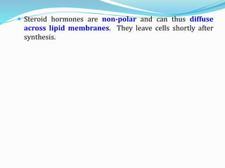 Steroid Hormones | PPT | Free Download