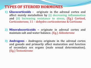 Steroid Hormones | PPT