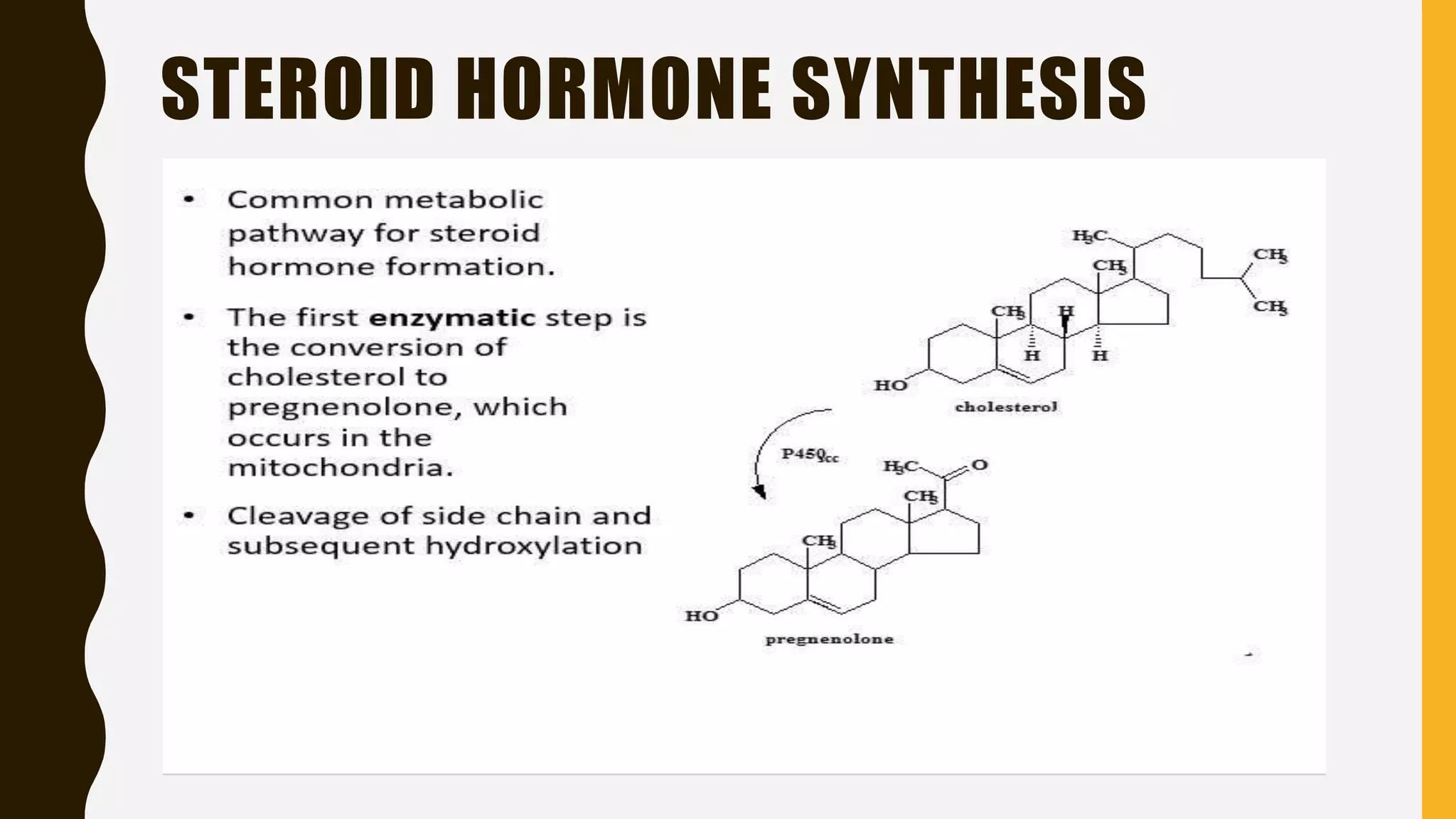 Steroid hormones 300718 | PPTX