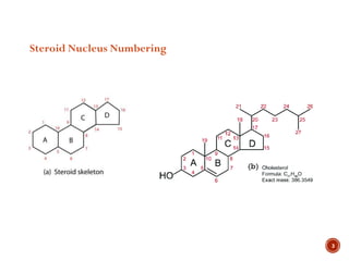Steroid Hormones (Sex hormones) - Medicinal Chemistry | PDF