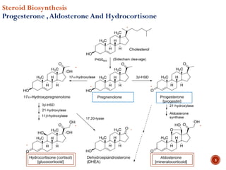 Steroid Hormones (Sex hormones) - Medicinal Chemistry | PDF