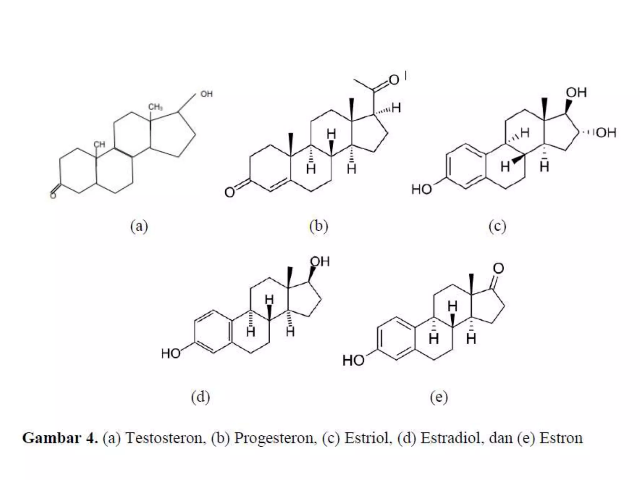 Steroid Kimia Bahan Alam Pptx