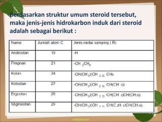 Steroid_Kimia_Bahan_Alam.pptx