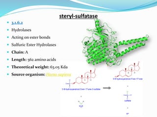 Structure and Role of Enzymes in Steriodogenenic pathways | PPTX