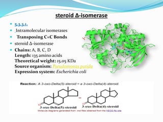 Structure and Role of Enzymes in Steriodogenenic pathways | PPTX