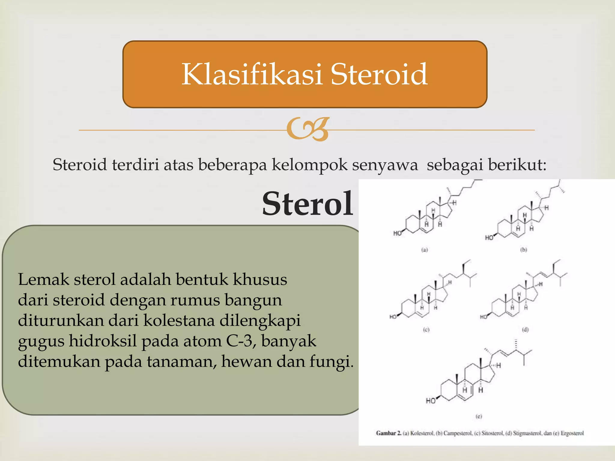 Steroid pptt | PPTX