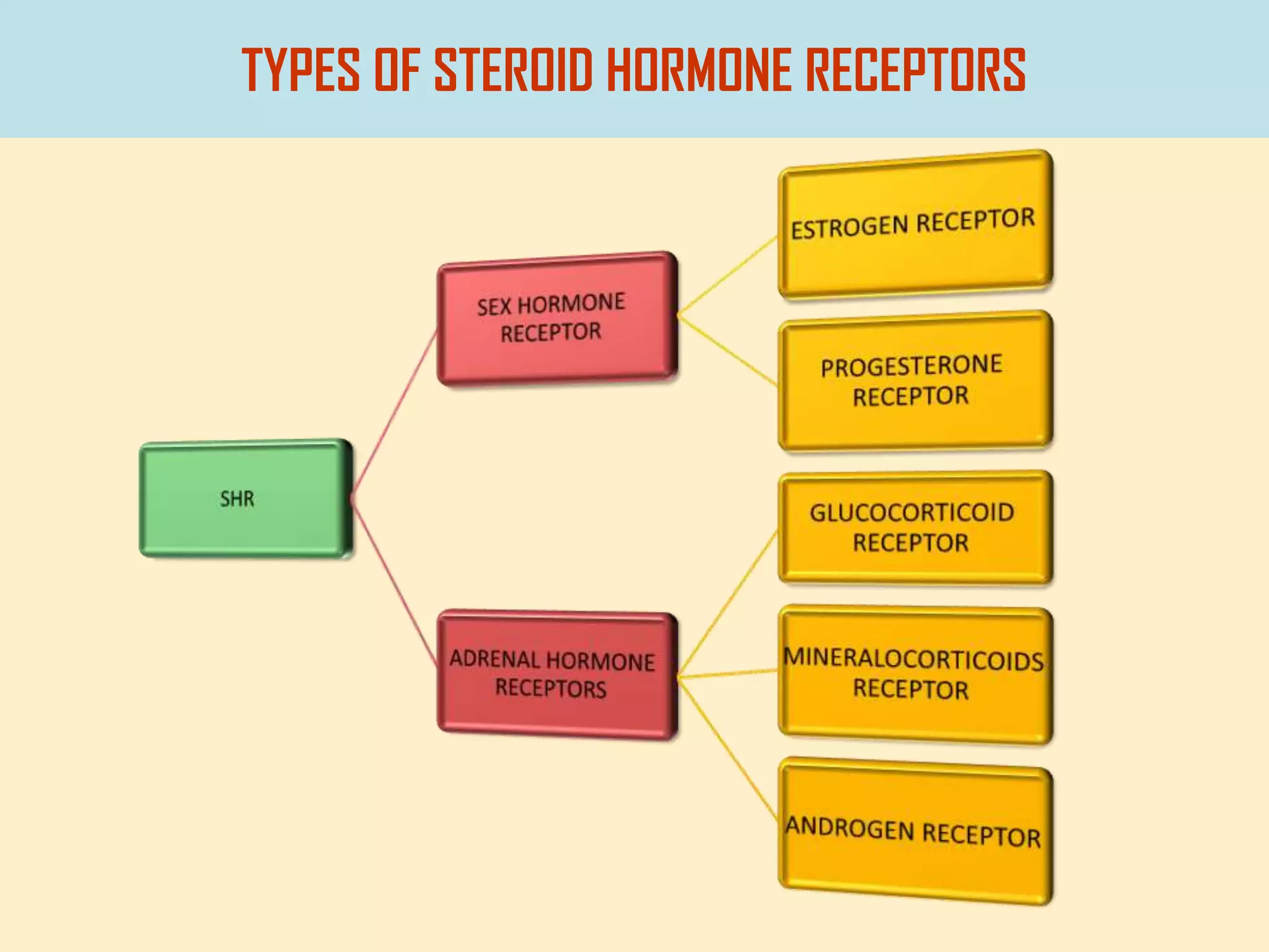 Steroid receptor | PPTX