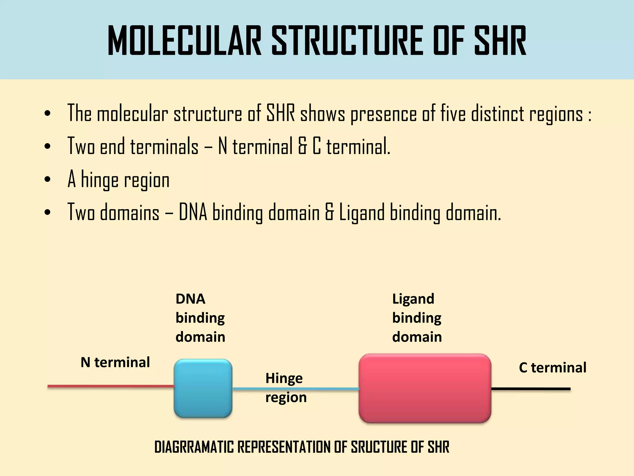 Steroid receptor | PPTX