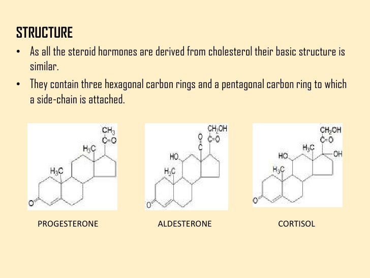 Steroid receptor