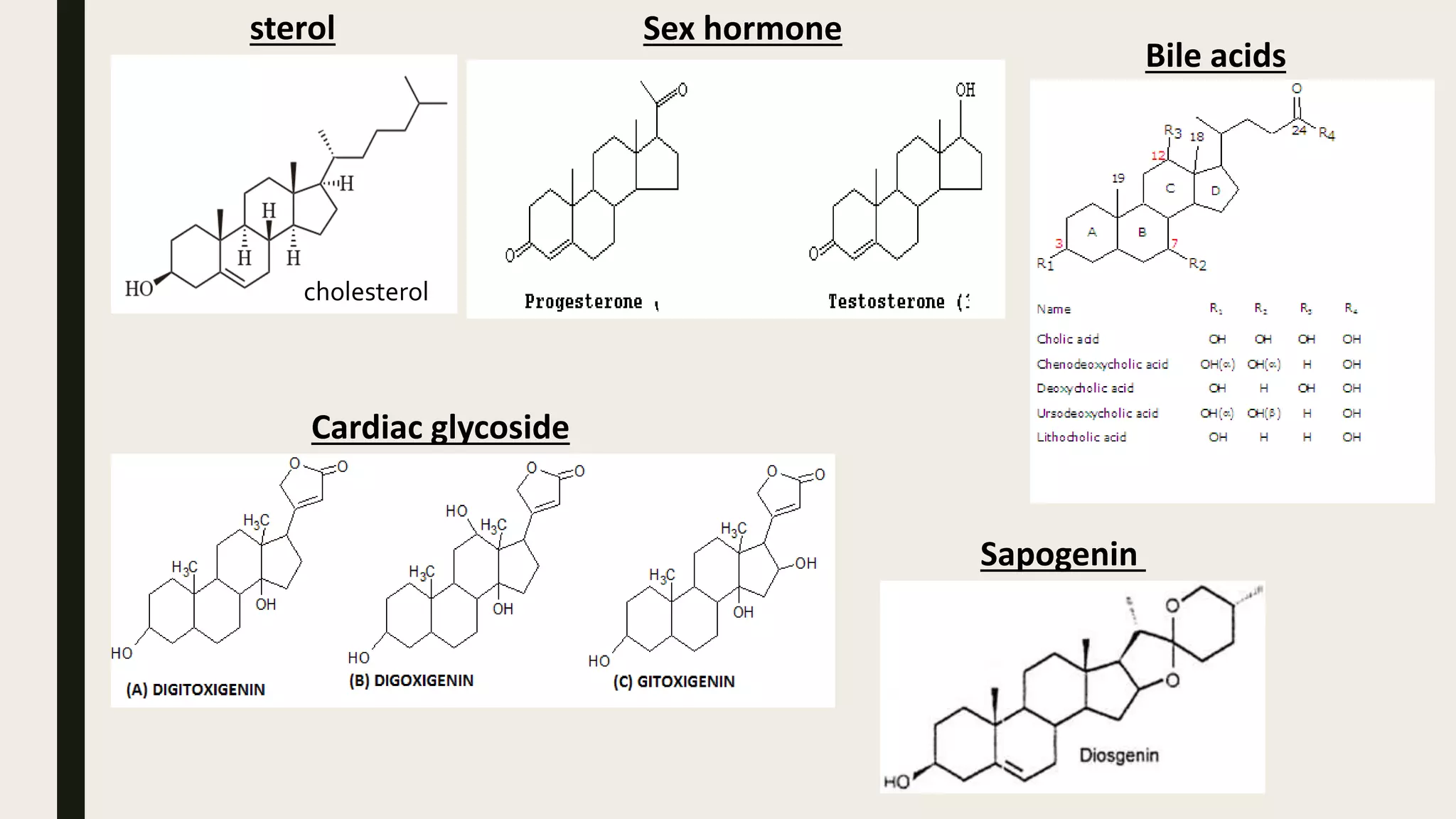 Steroids | PPTX