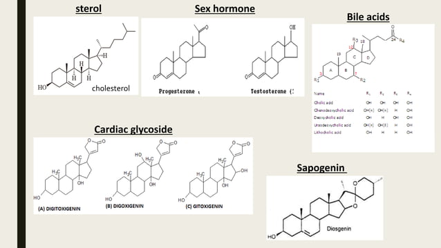Steroids | PPTX | Chemistry | Science
