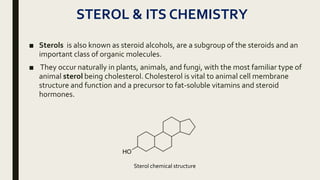 Steroids | PPTX | Chemistry | Science