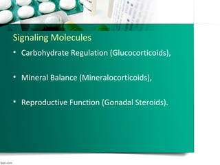 Steroids | PPT