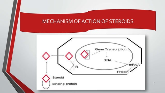 STEROIDS - MEDICINAL CHEMISTRY | PPTX | Endocrine and Metabolic ...