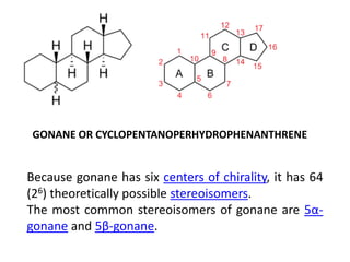 Steroids | PPTX